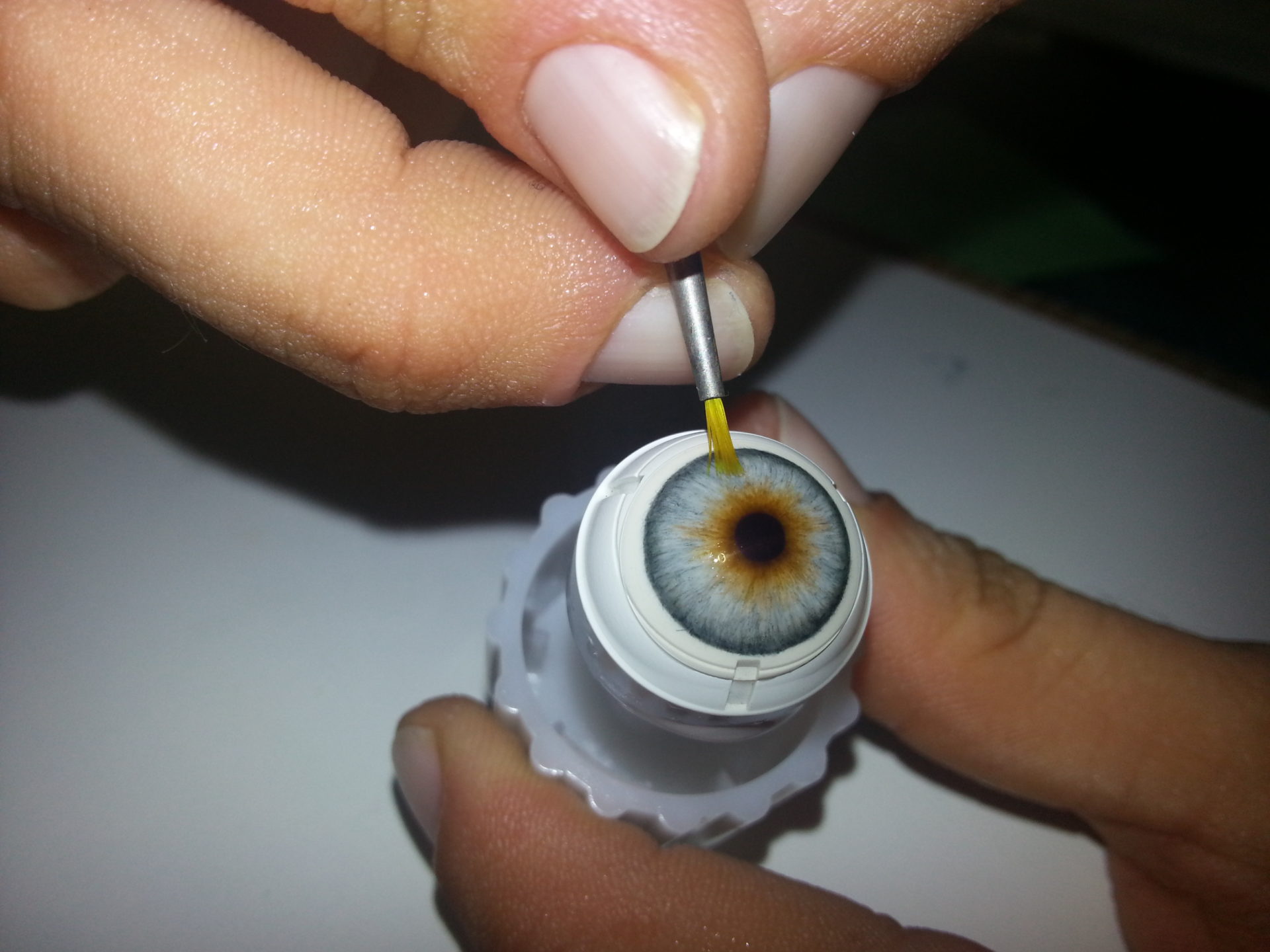 Take a Tour Behind the Scenes and a Look Through My Lens - Contamac