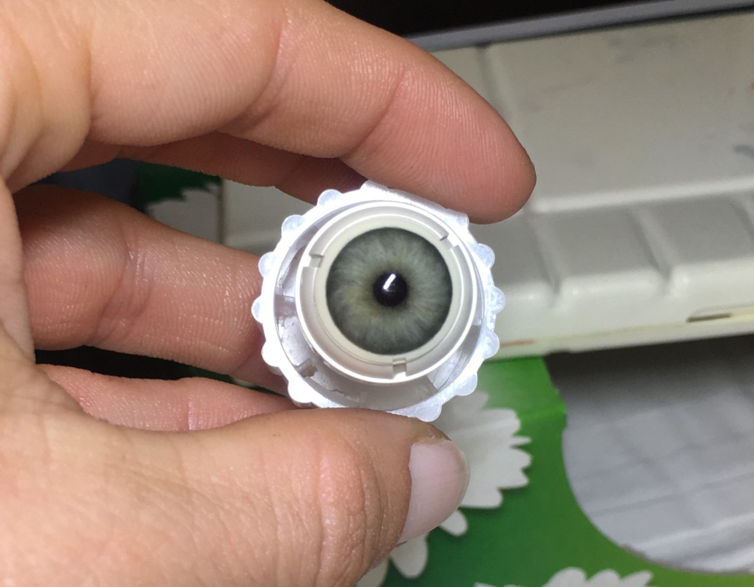 Take a Tour Behind the Scenes and a Look Through My Lens - Contamac