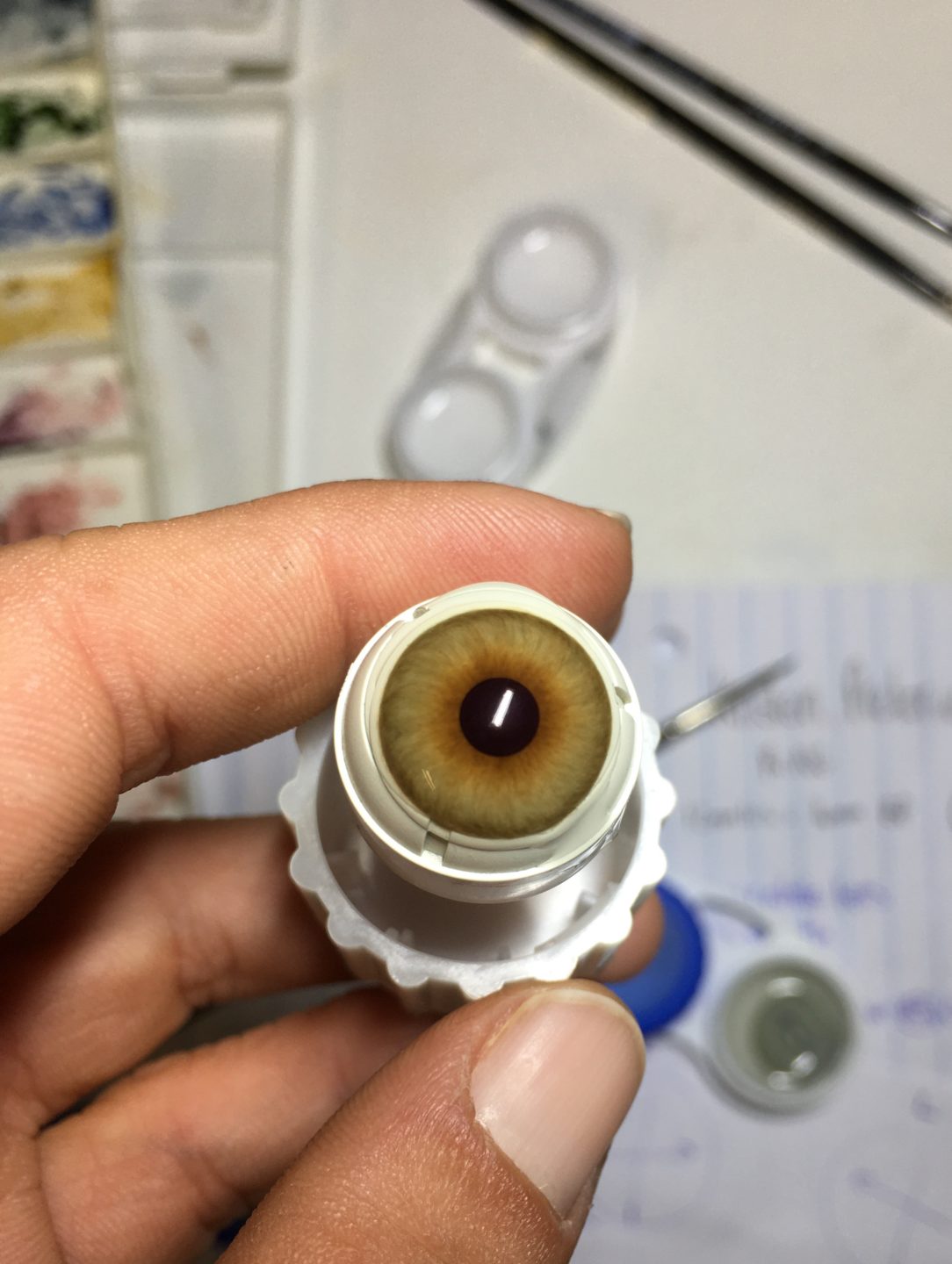 Take a Tour Behind the Scenes and a Look Through My Lens - Contamac