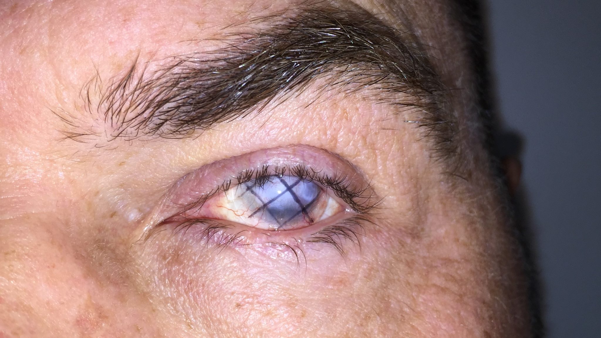 Take a Tour Behind the Scenes and a Look Through My Lens - Contamac